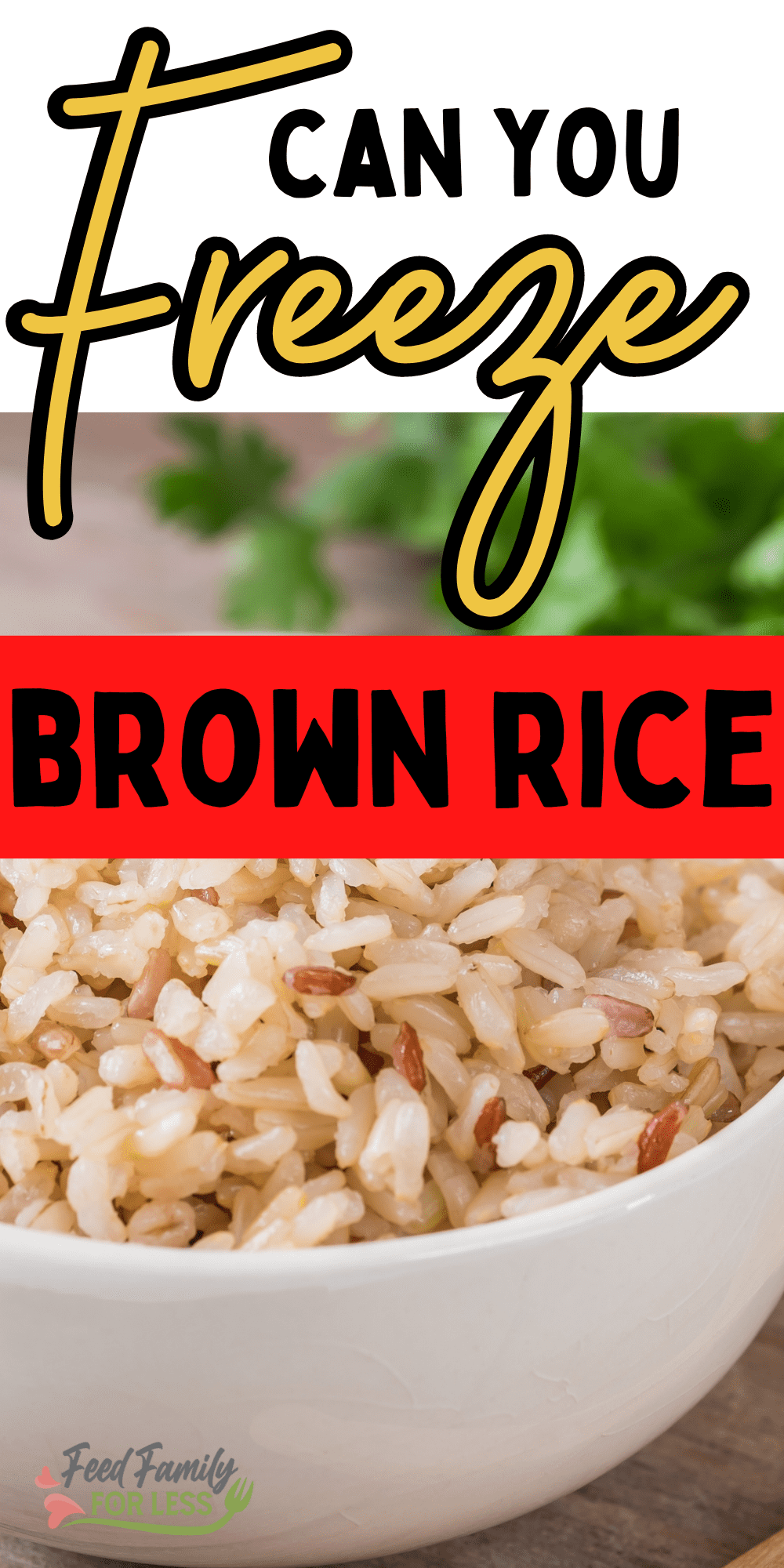 Can You Freeze Brown Rice? | Feed Family For Less